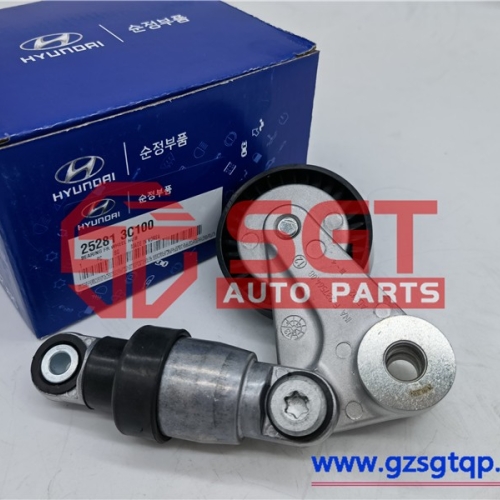 252813C100/HYUNDAI/KIA/发动机涨紧轮/25281-3C100/TENSIONER ASSY - Global ...