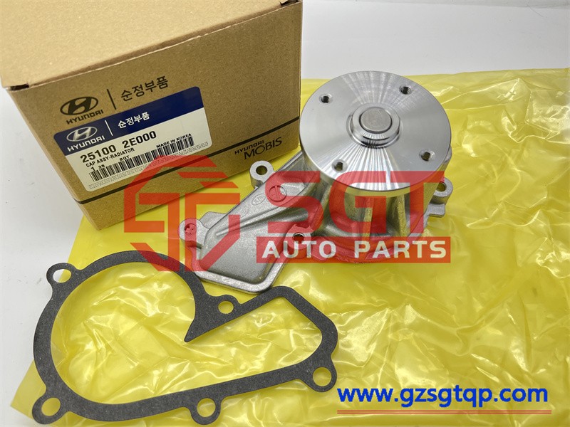 251002E000/HYUNDAI/KIA/水泵/25100-2E000/PUMP ASSY-COOLENT - Global ...